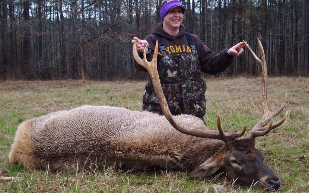 Elk Hunting Alabama Guide - Alabama Trophy Hunt